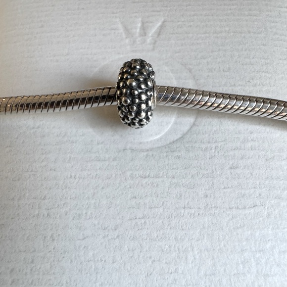 Pandora | Jewelry | Authentic Pandora Inspiration Within Spacer | Poshmark